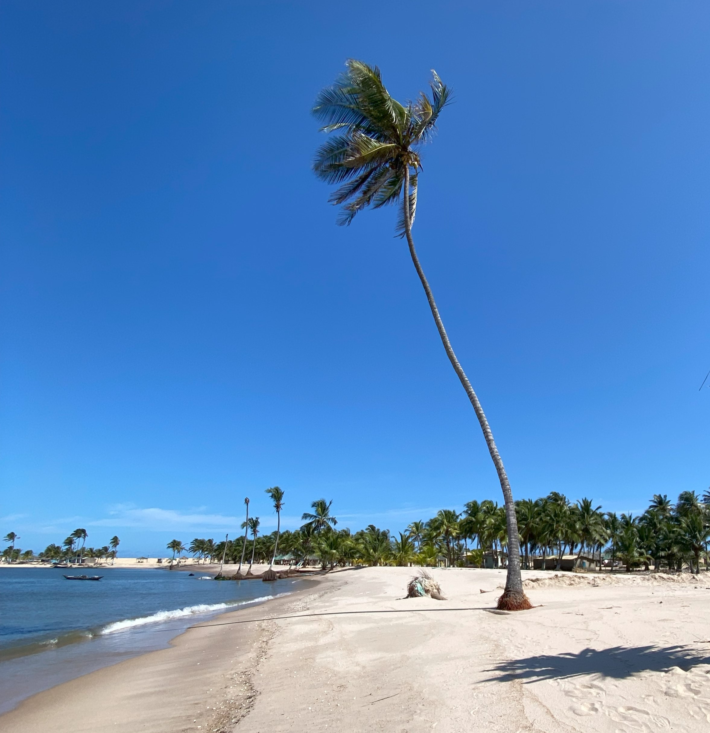 Tours – Ada tourism